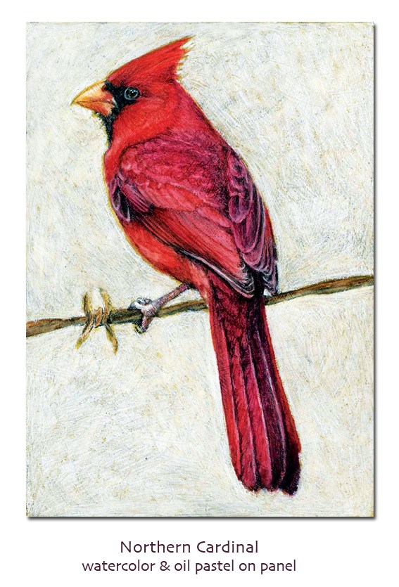 northerncardinal – Tracy Greenwalt